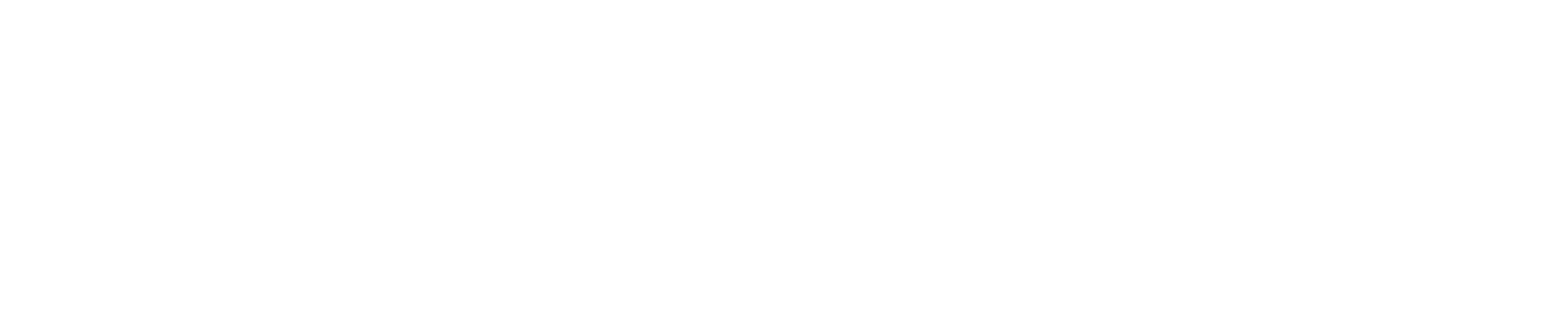 Handhaving openbare ruimte